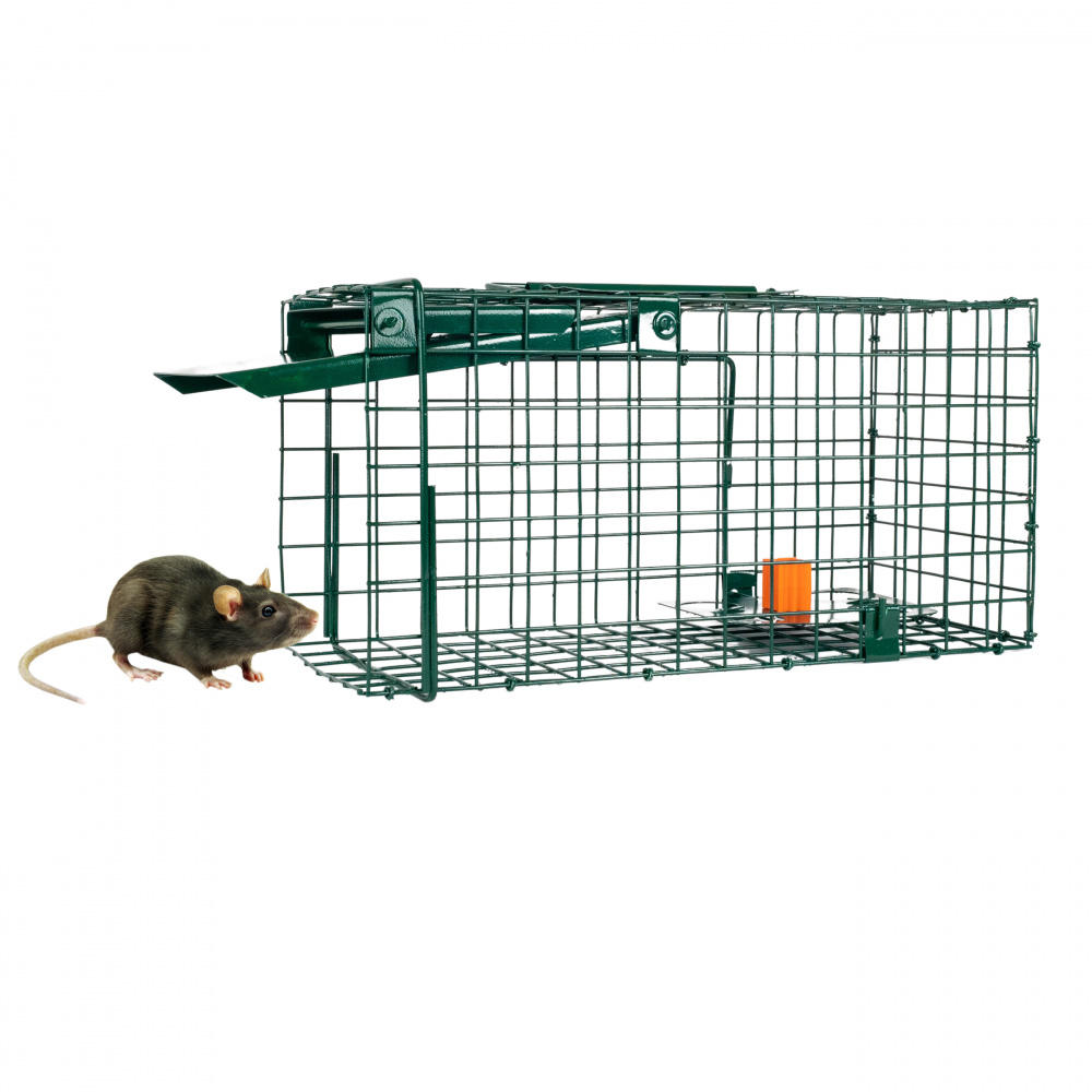 Excellium antinuisibles